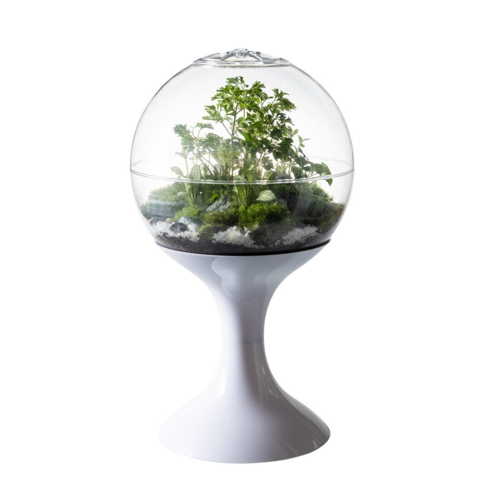 Potifiv Atomic Space Age Terrarium | Beautify Your Space With Plants